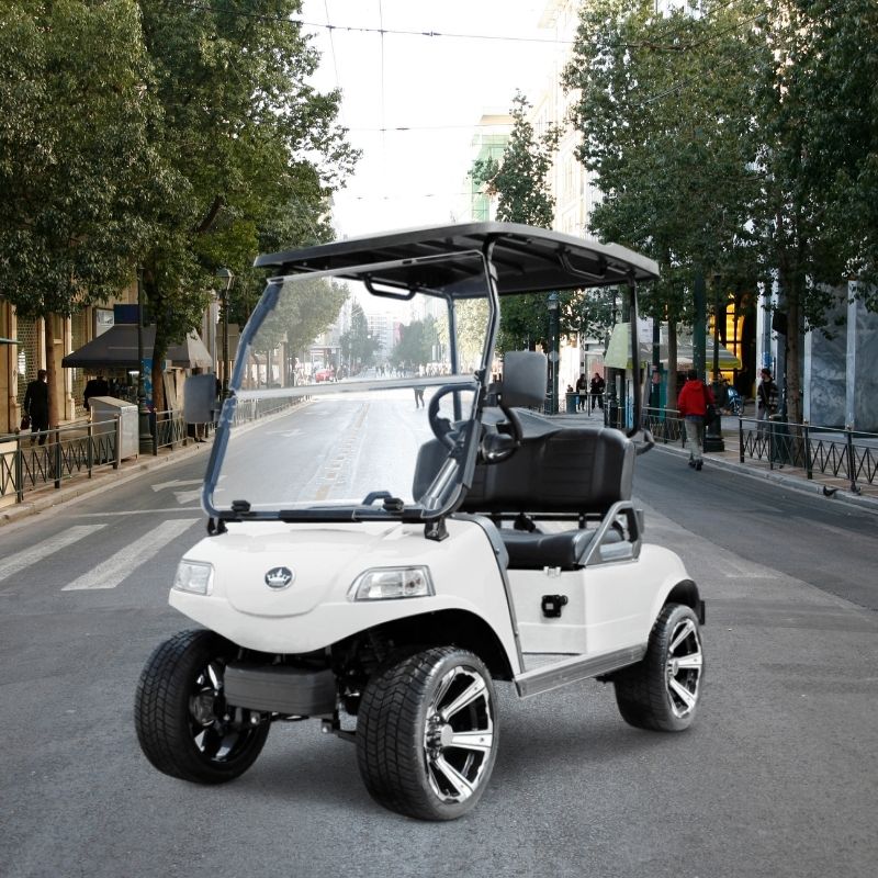 EVOLUTION® CLASSIC 2 PRO - Pocono Golf Carts